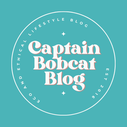 Complete Guide to Berjaya Times Square Theme Park - Captain Bobcat