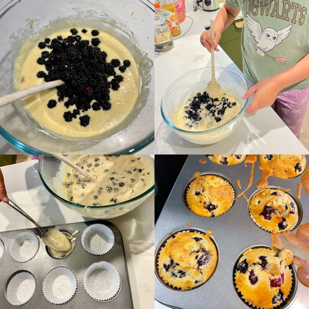Vegan Blackberry Muffins (Low Sugar) - Captain Bobcat