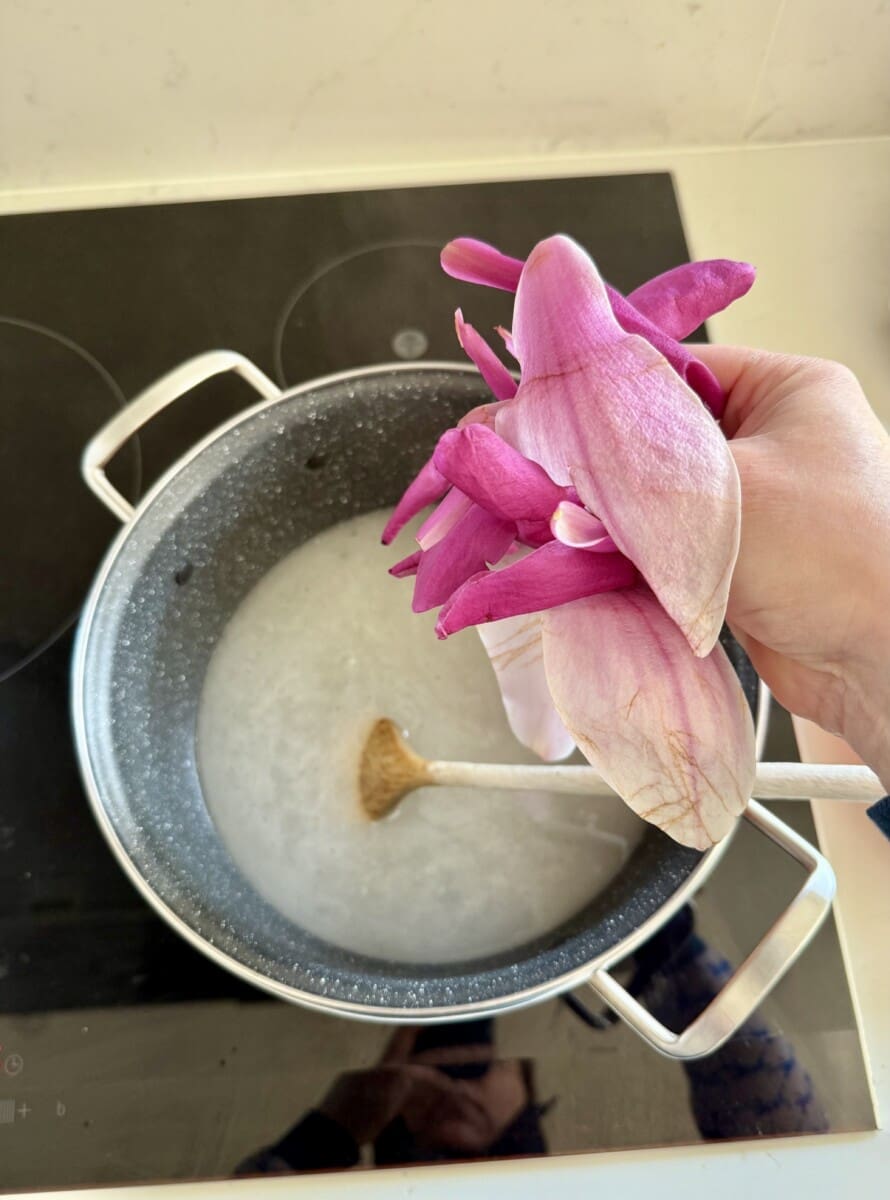 Magnolia Syrup Recipe - Captain Bobcat