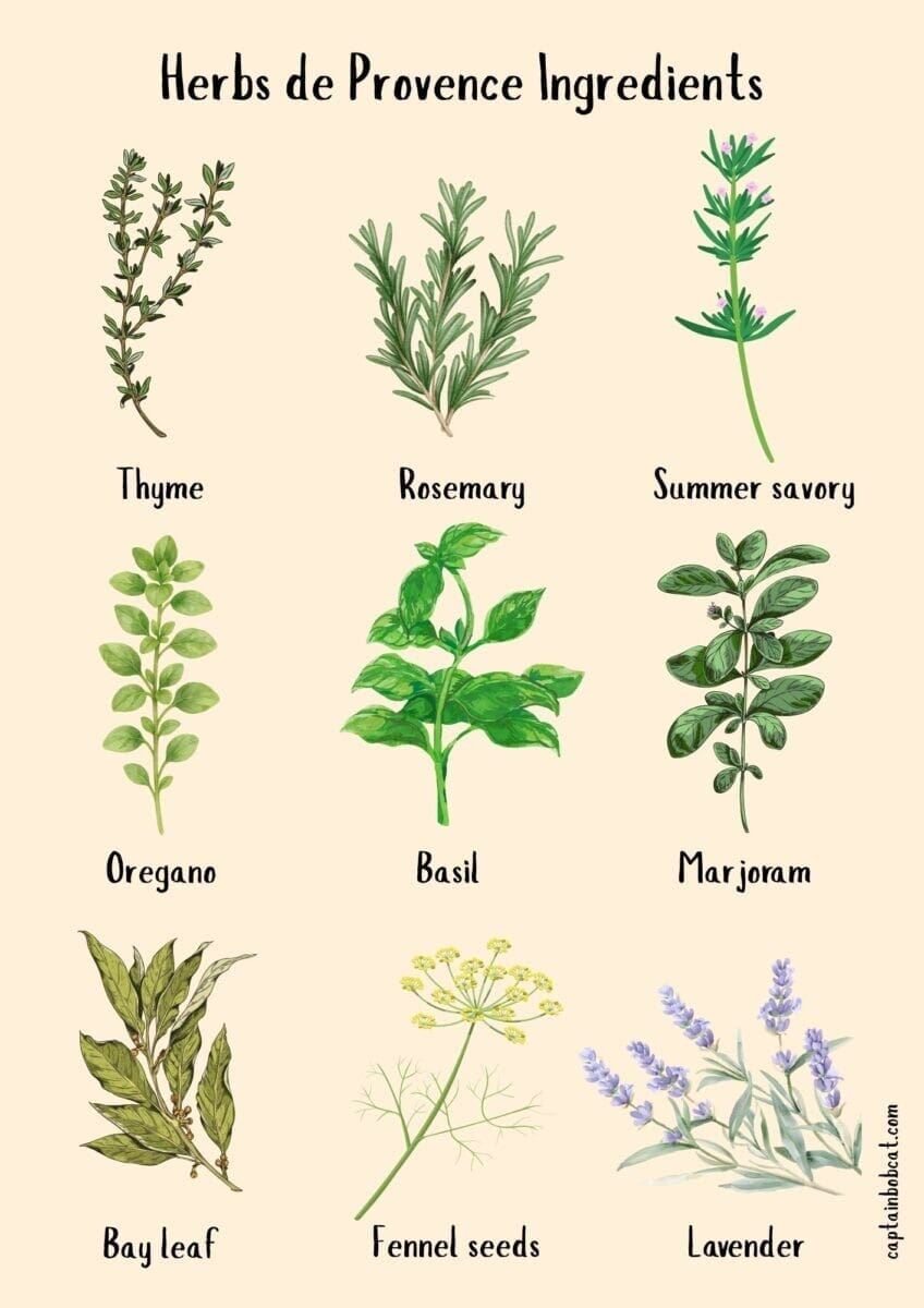 Herbs de Provence Recipe: Ingredients and Uses